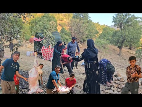 A message, a helping hand, a few smiles; a story of humanity that knows no borders.