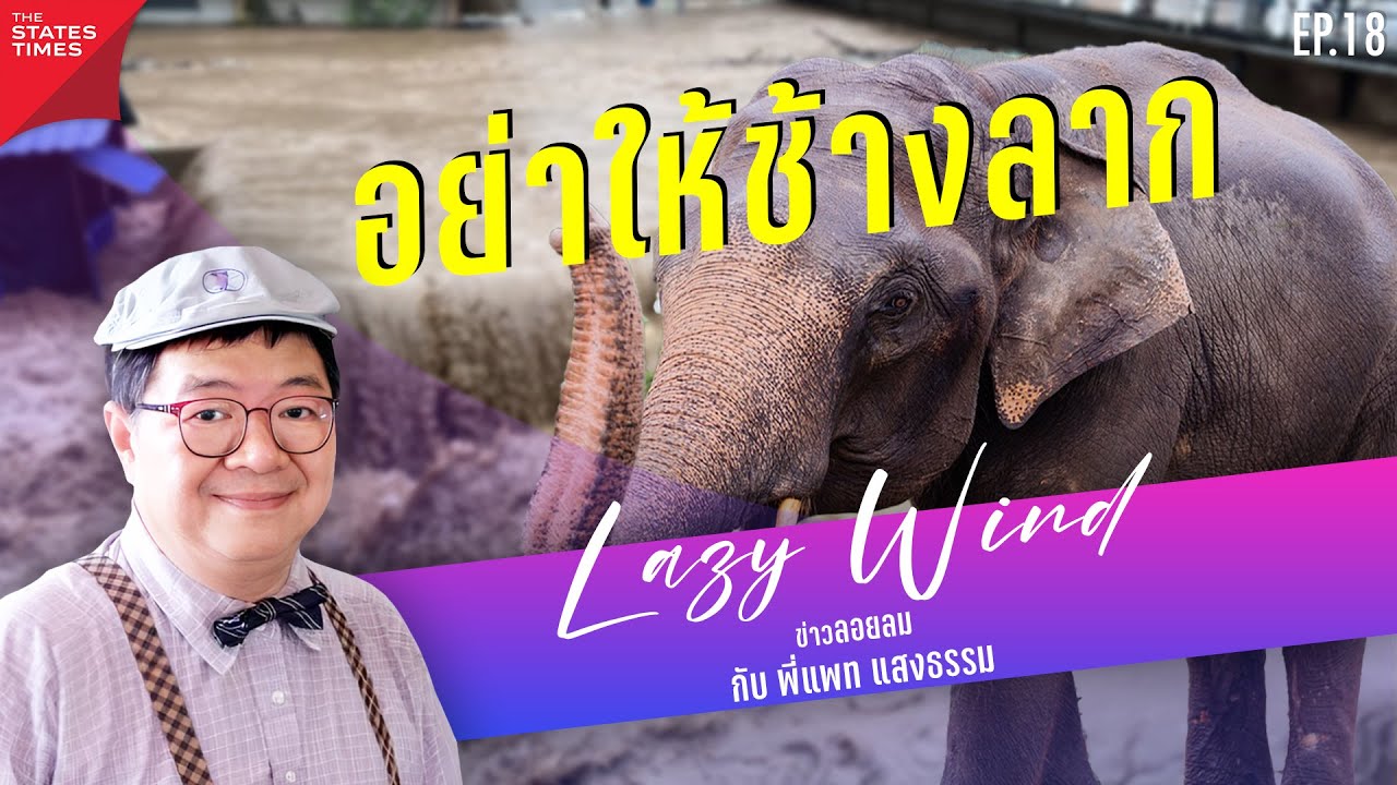 อย่าให้ช้างลาก | Lazy Wind EP.18 - YouTube