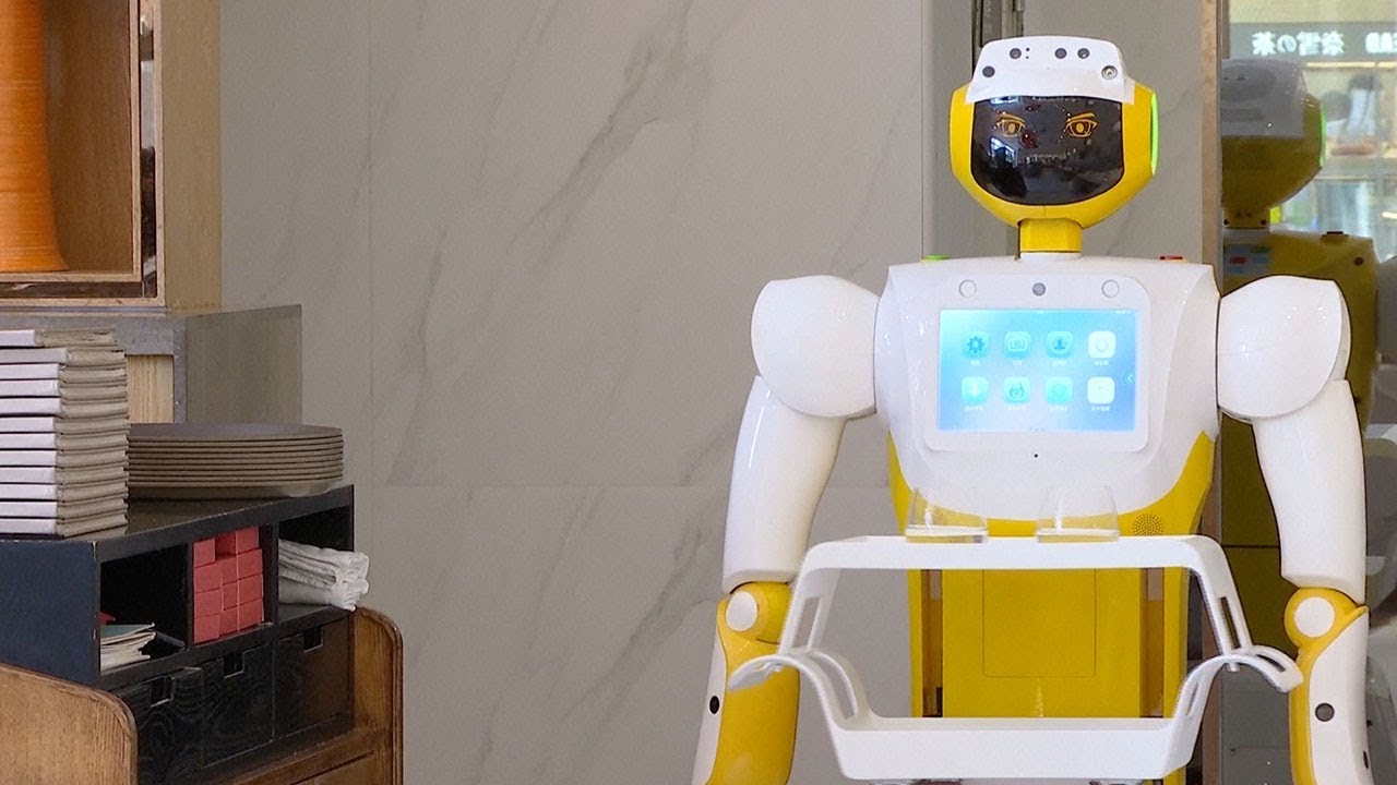 Chinese businesses "employ" intelligent robots for better service - YouTube