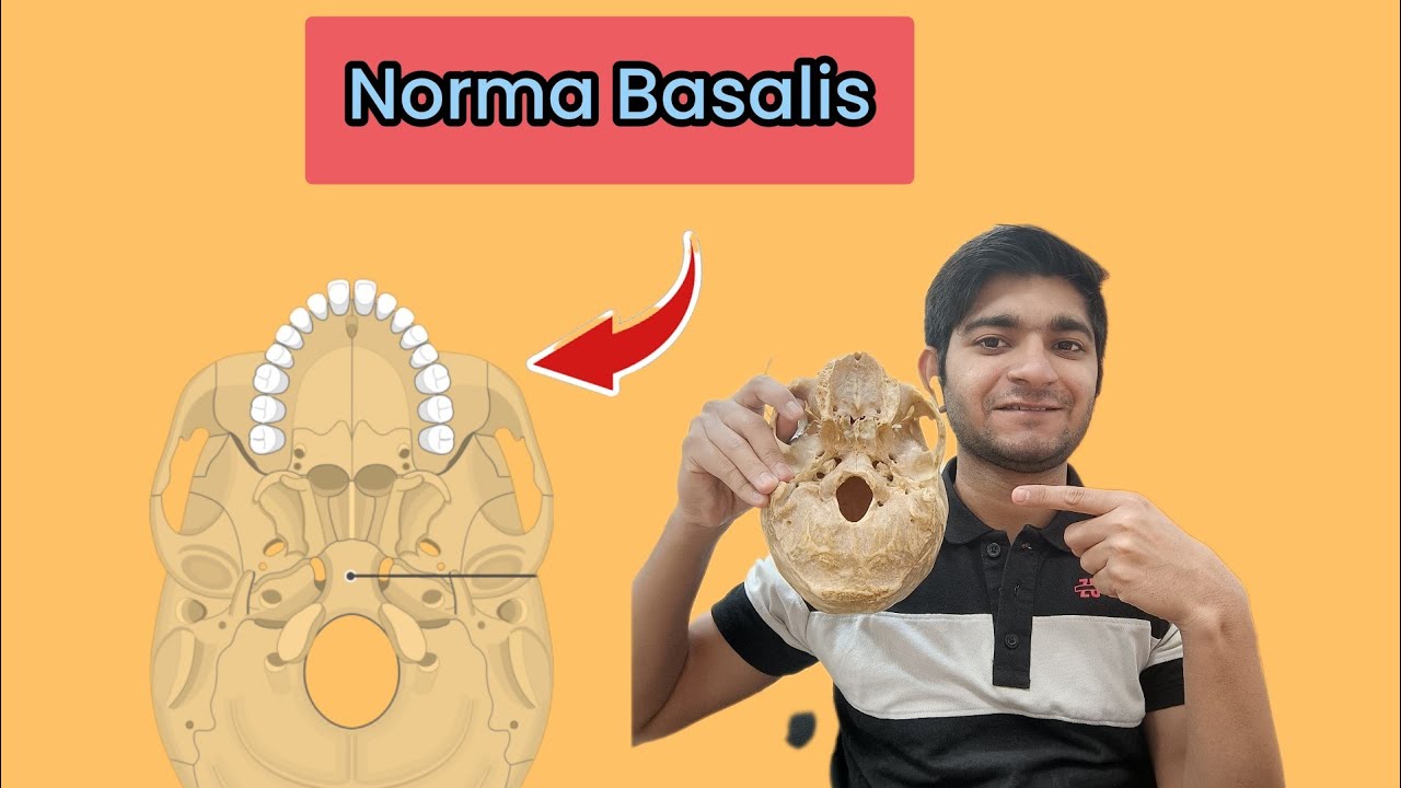 Norma Basalis 😇 ️ - YouTube