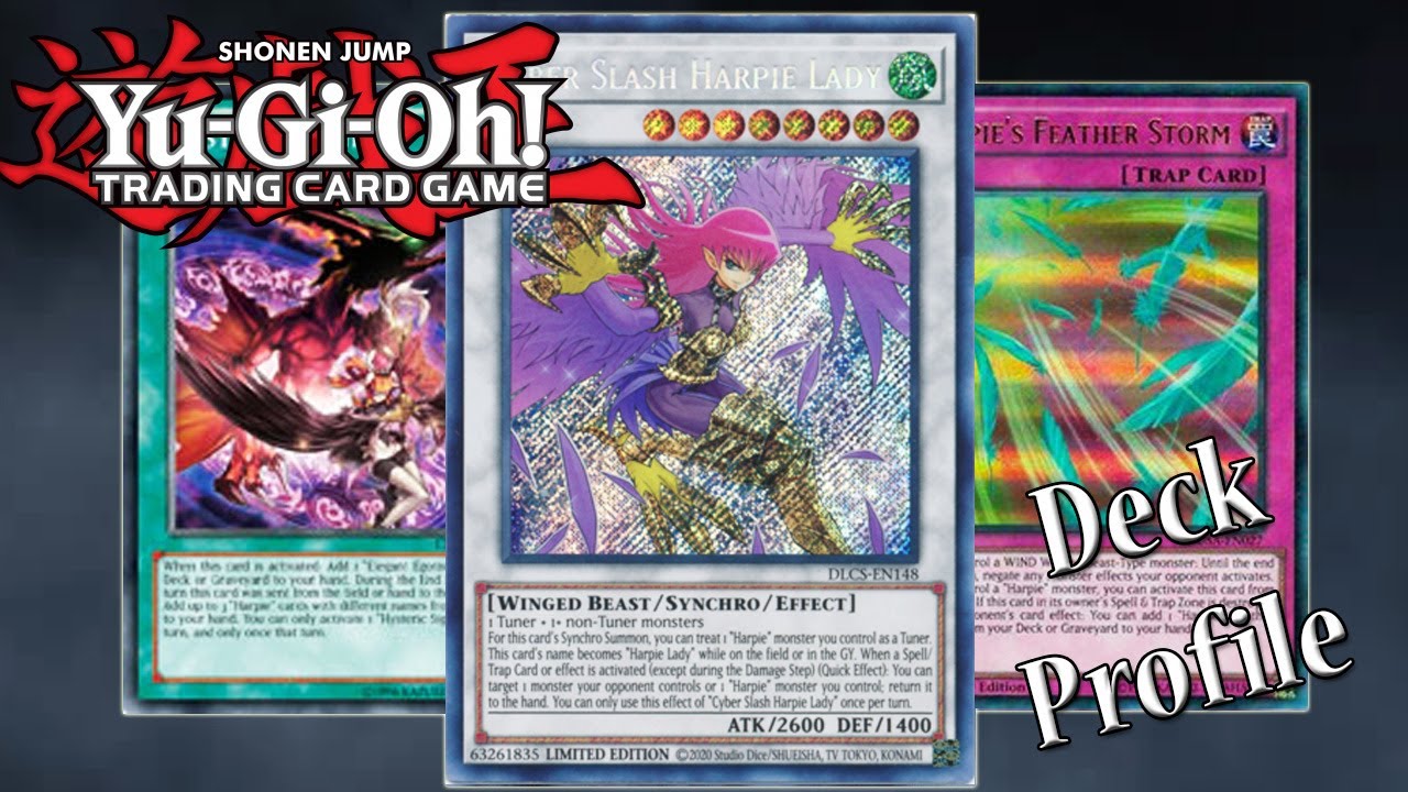 (7-1) WINNING Harpie Deck Profile | March 2021 Banlist | Noah Stima ...