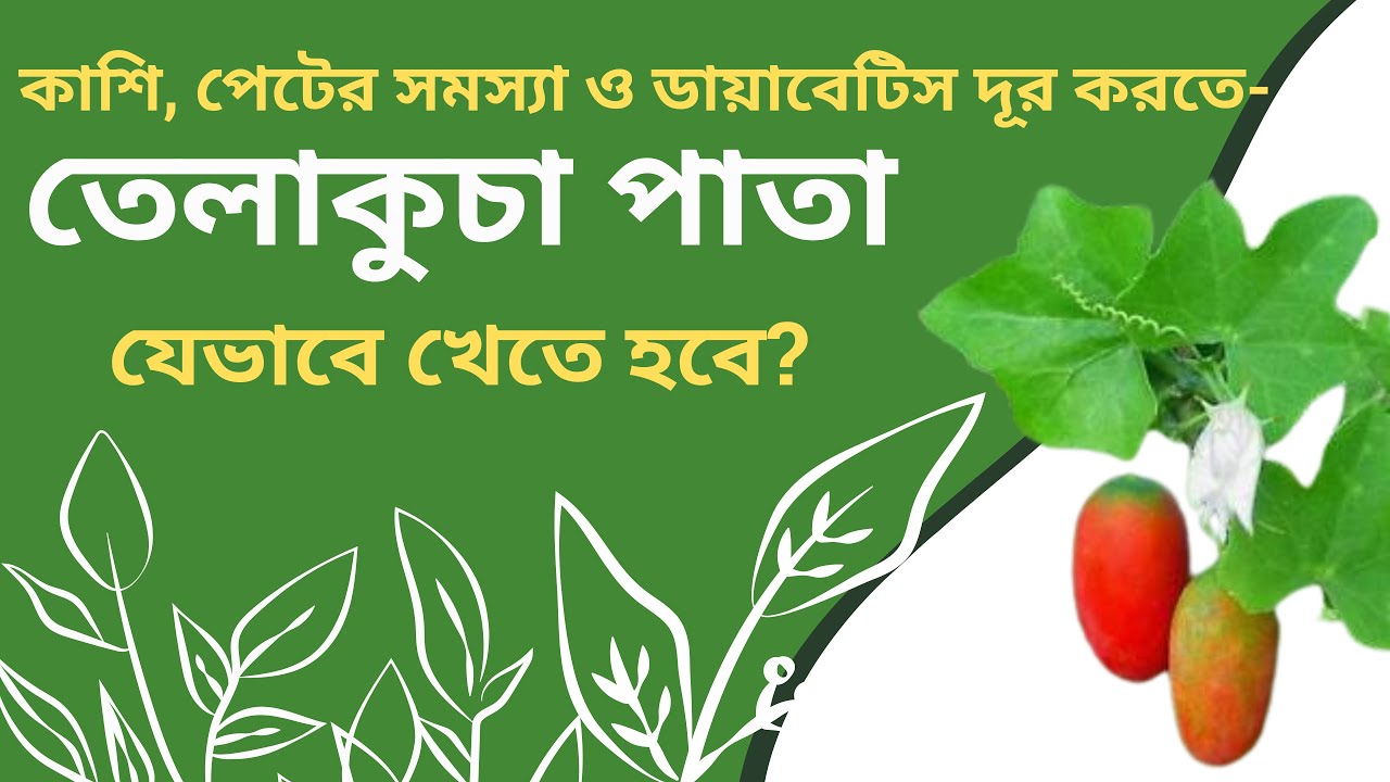 তেলাকুচা পাতার উপকারিতা | তেলাকুচো @ProfessorDrAltafSarker - YouTube