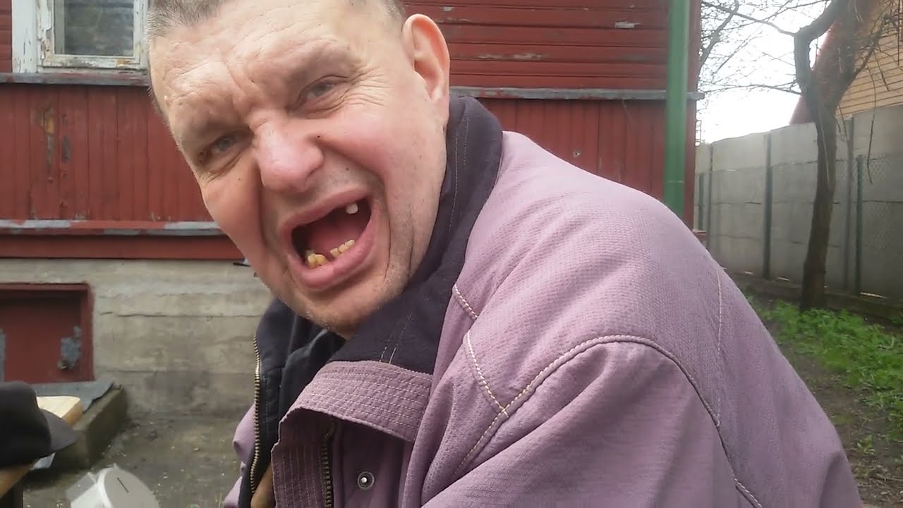 Krzysztof Kononowicz i Major: wolontariusze poszukiwani do pomocy ...