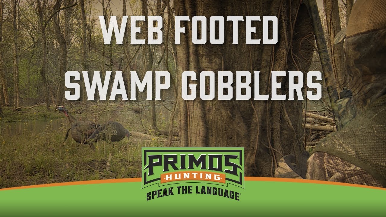 Web Footed Swamp Gobblers - Mississippi Turkey Hunting - Primos Truth ...
