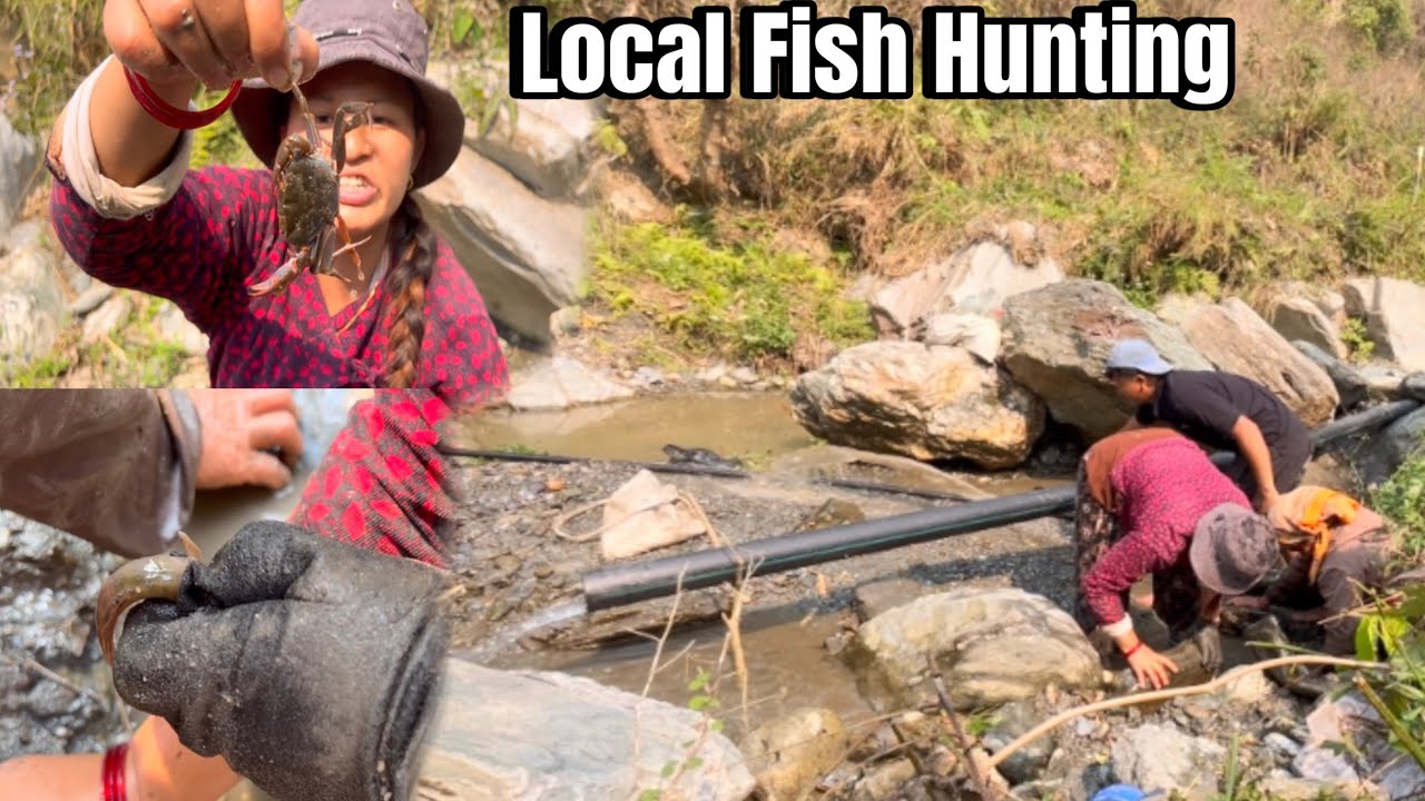 Local fish hunting In village 🎣🐟 - YouTube