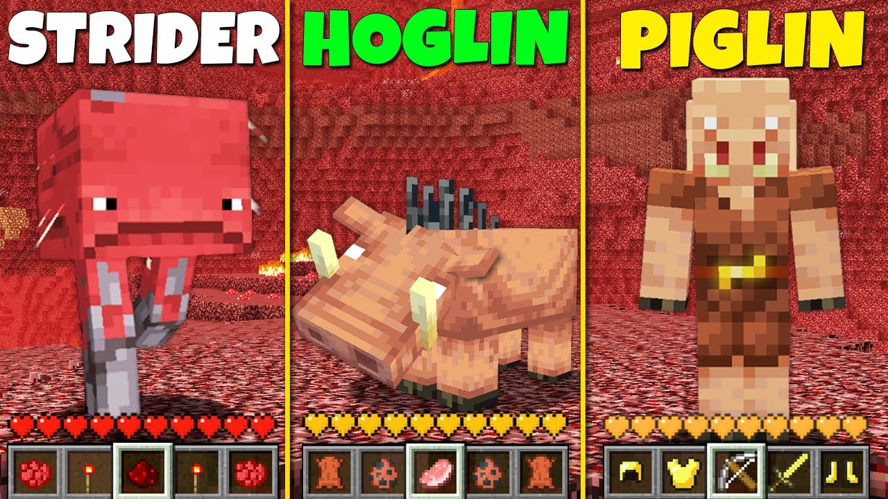 Minecraft HOW TO PLAY NETHER STRIDER PIGLIN HOGLIN MONSTER SCHOOL my ...