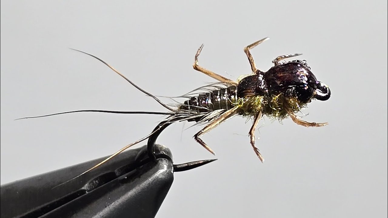 Tying a Version of Oliver Edwards Heptageniidae Mayfly Nymph - Cahills ...