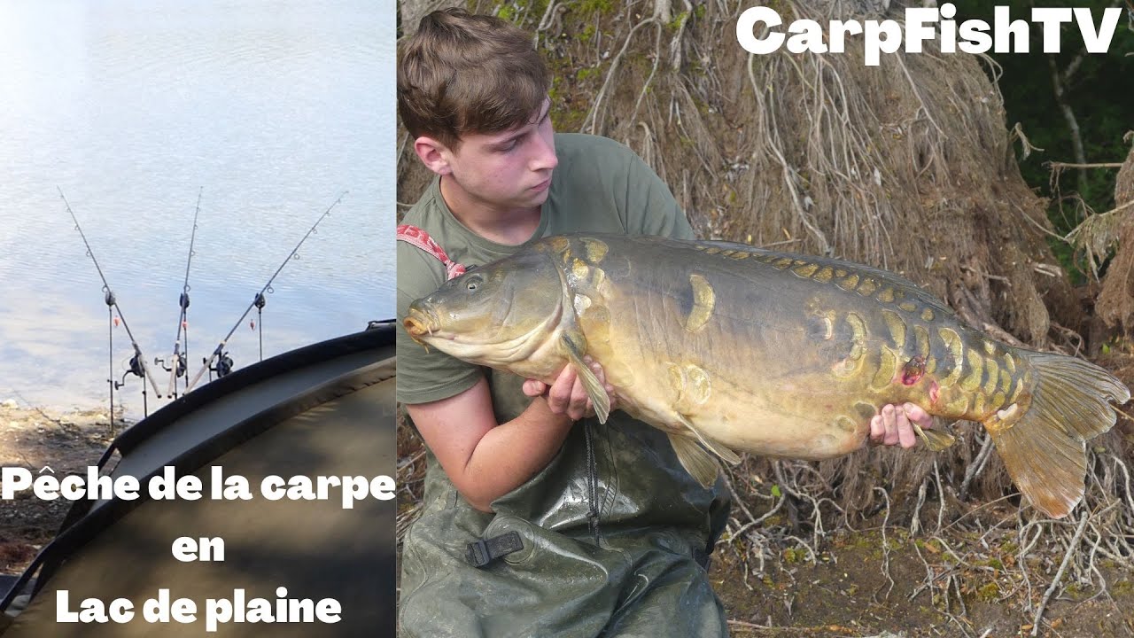 4 jours pour sortir des carpes en lac - PECHE DE LA CARPE - 4K - YouTube