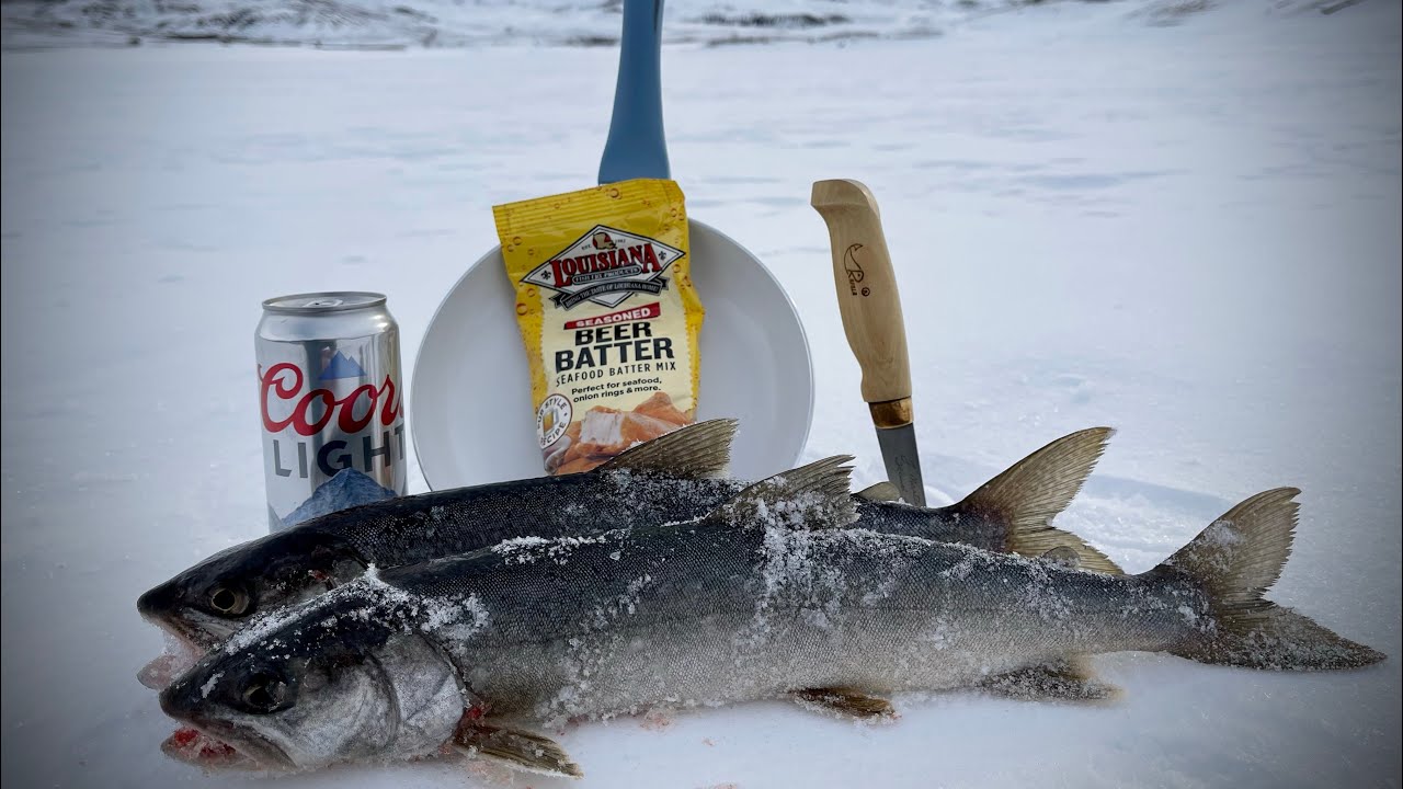 Lake Trout Catch Clean & Cook on the ICE!!! - YouTube