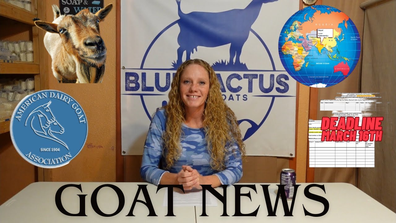 GOAT NEWS - February 2024 - YouTube