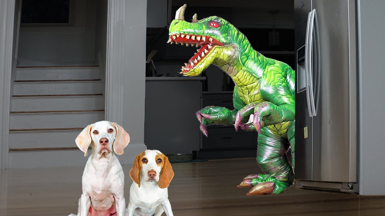 Dogs vs Giant Dinosaur Prank: Funny Dog Maymo & Puppy Indie vs ...