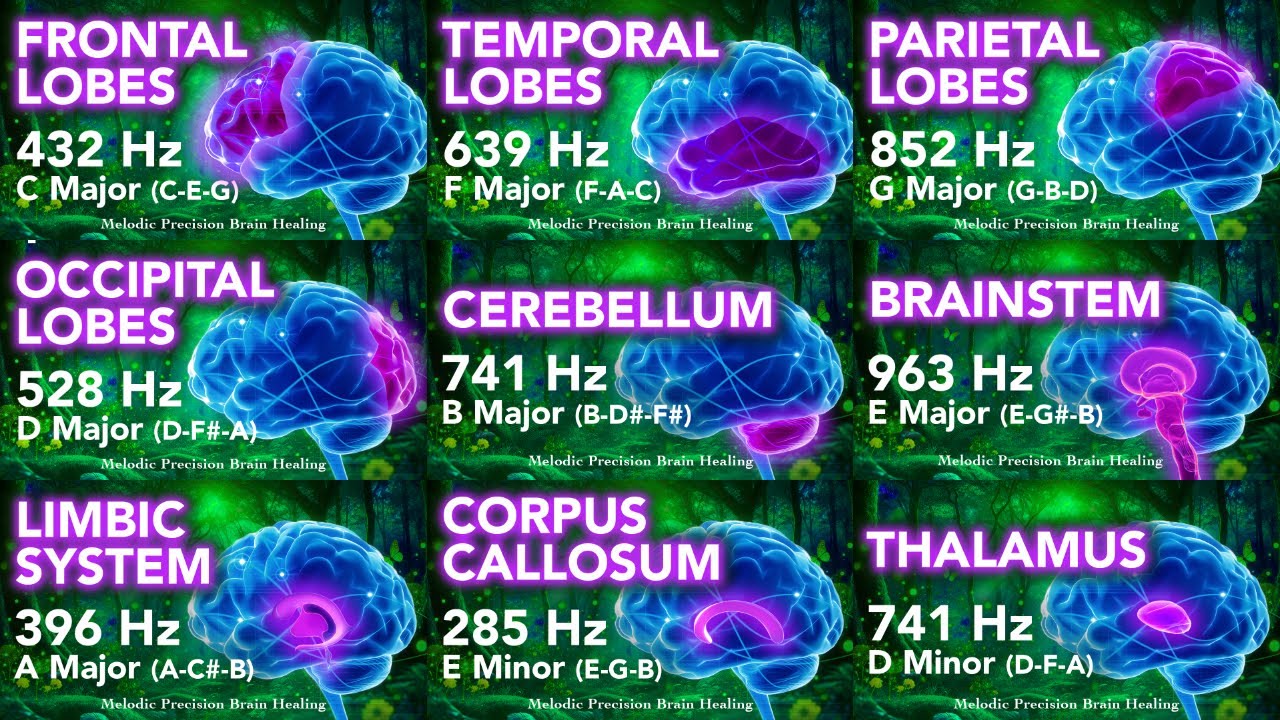 Complete Brain Healing Series - Vol. 2 | The Enchanted Brain Healing ...