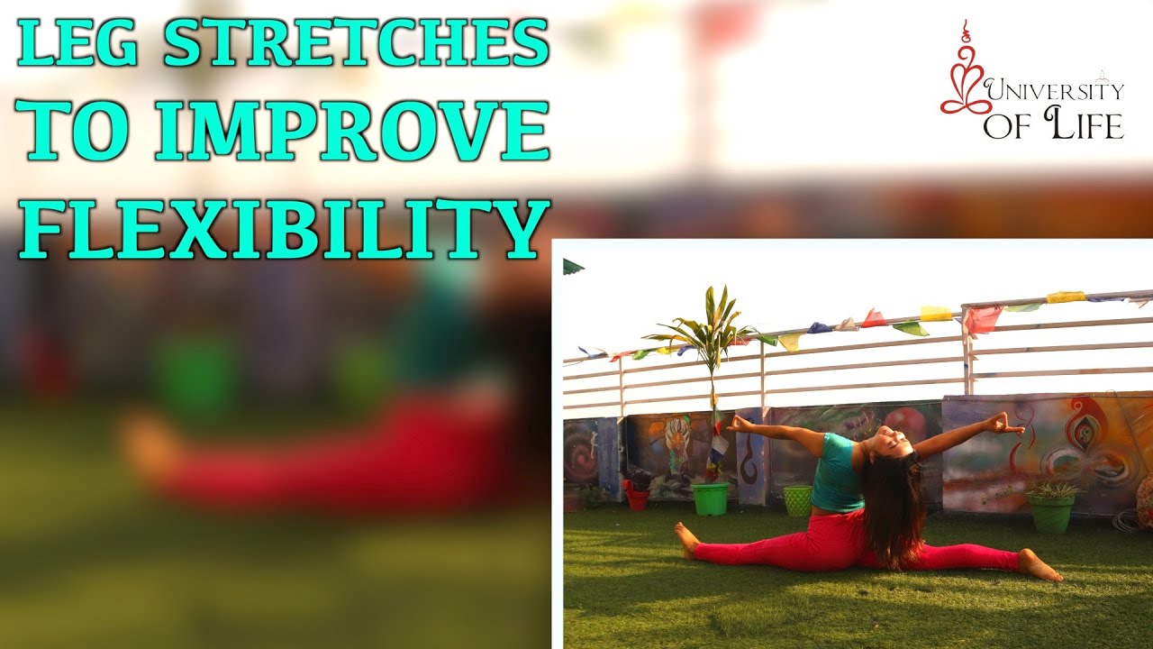 The Best Stretches To Improve The Flexibility Of Your Legs | With ...