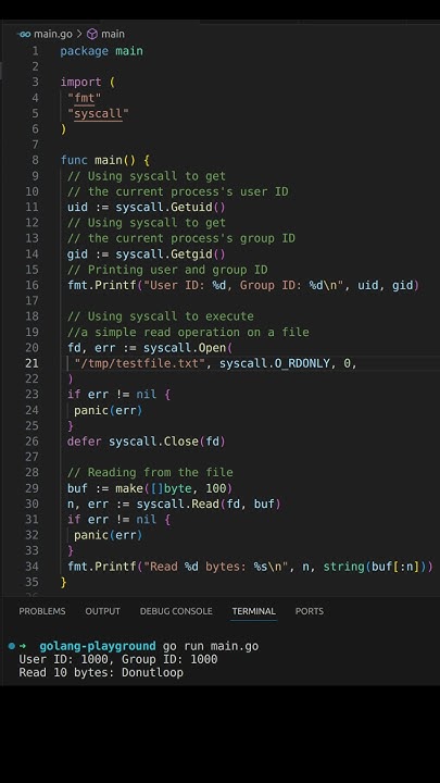 Crafting Low-Level Operations in Golang with the Syscall Package - YouTube