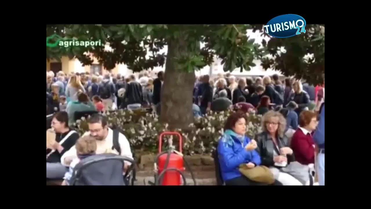 Turismo 24 - replay utime ore andate in onda - YouTube