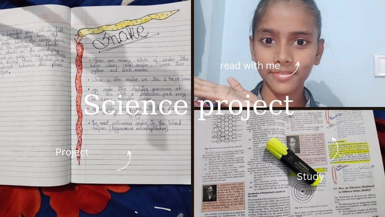 MY SCIENCE PROJECT 🥰 - YouTube