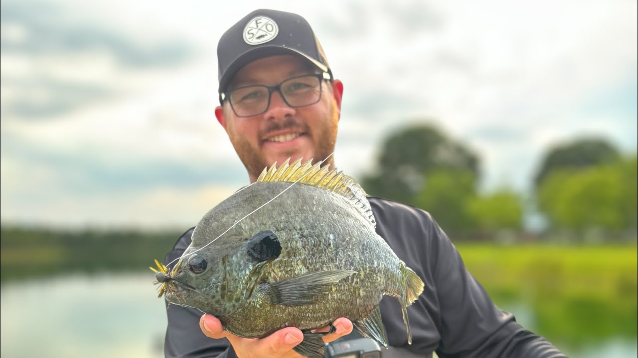 CATCHING GIANT PANFISH USING ULTRALIGHT CASTING GEAR (BAIT FINESSE ...
