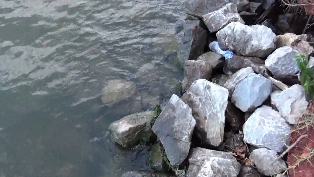 HD CAMERA TEST FOOTAGE - YouTube