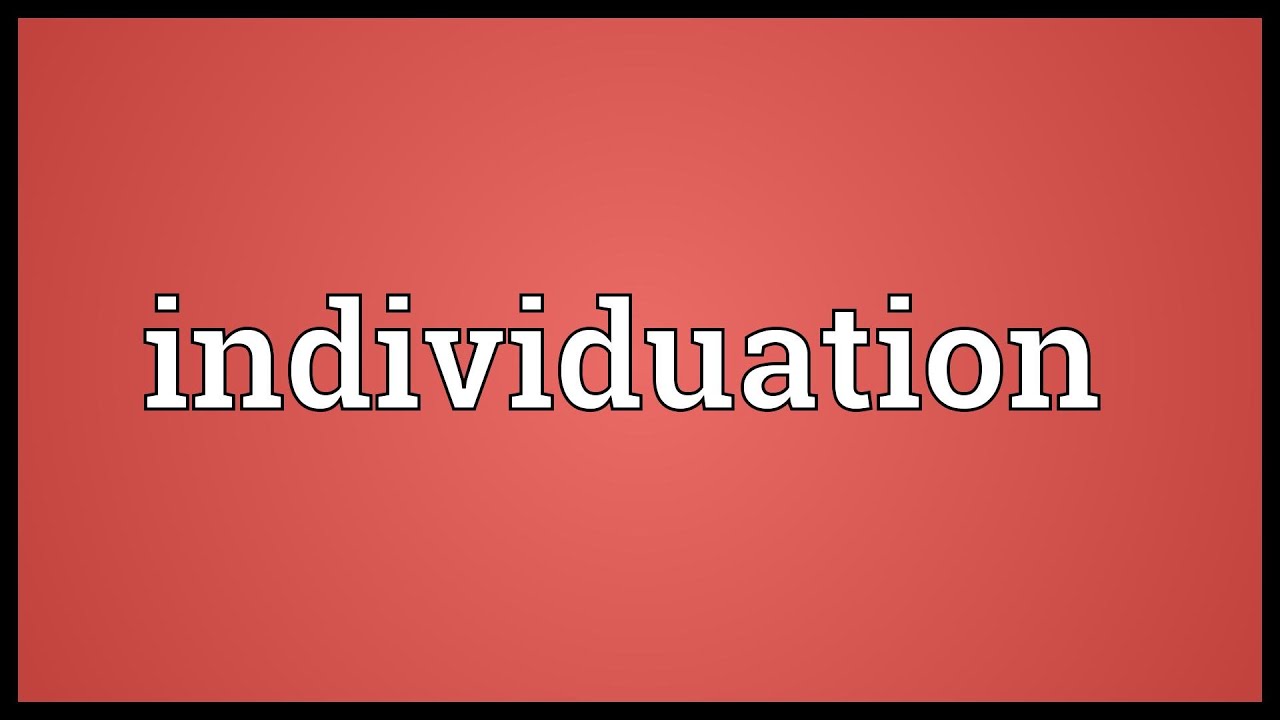 Individuation Meaning - YouTube