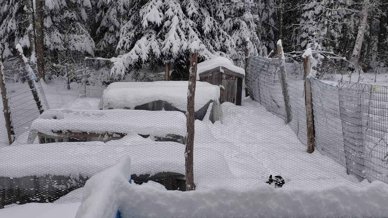 Where Did Spring Go? - YouTube