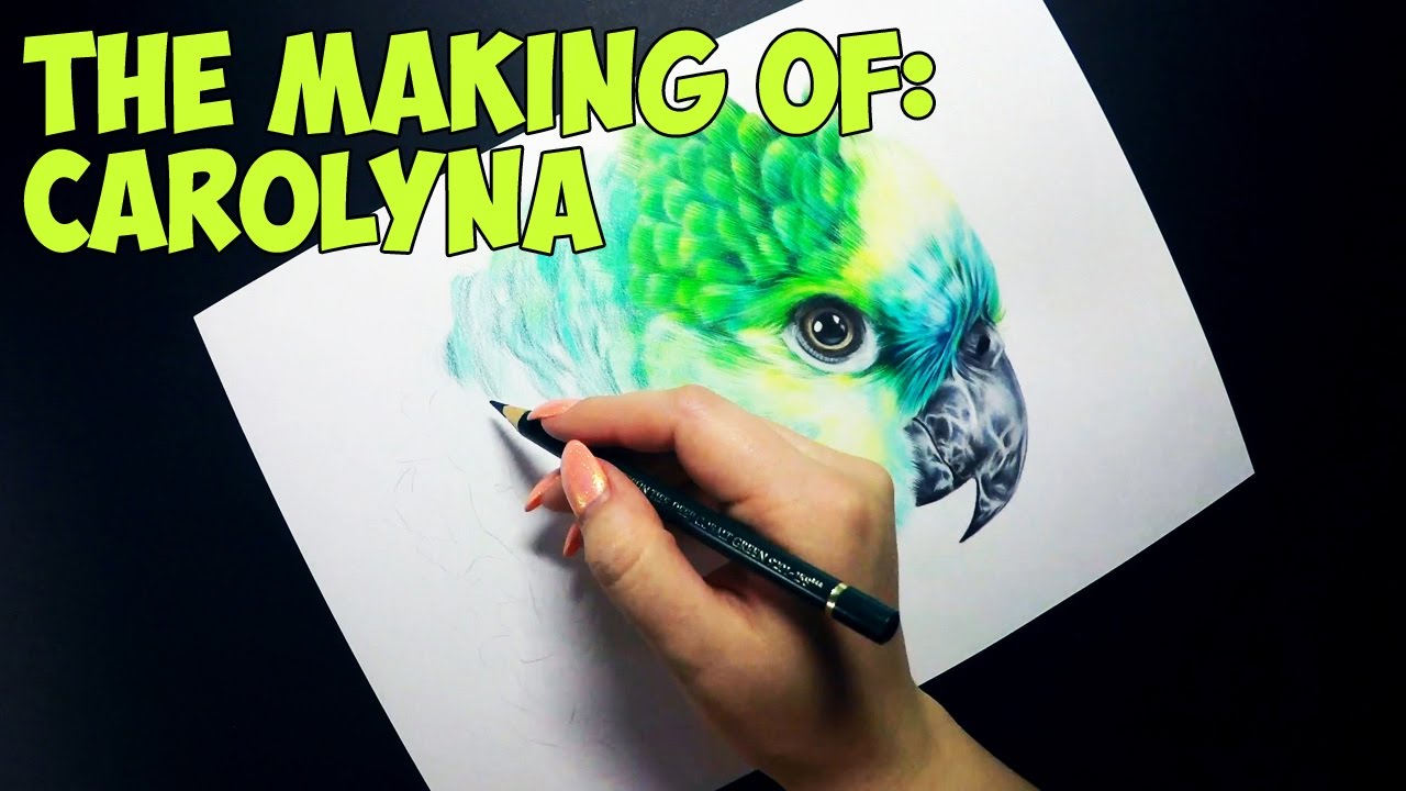 Blue-Fronted Amazon Speed Drawing - YouTube