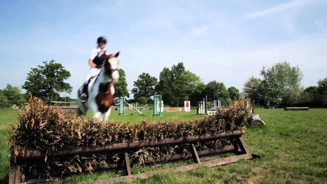 Merrist Wood College - Sports - YouTube