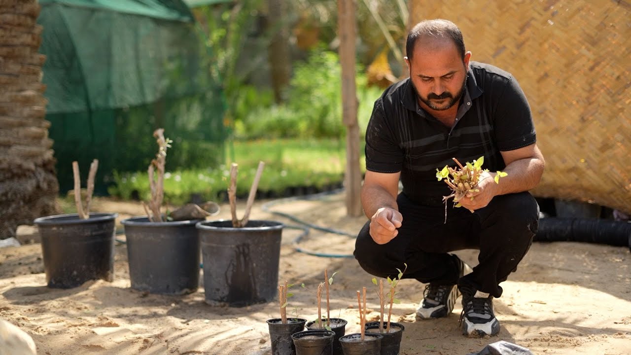 Farmers, workers and ILO partners highlight milestones in promoting ...