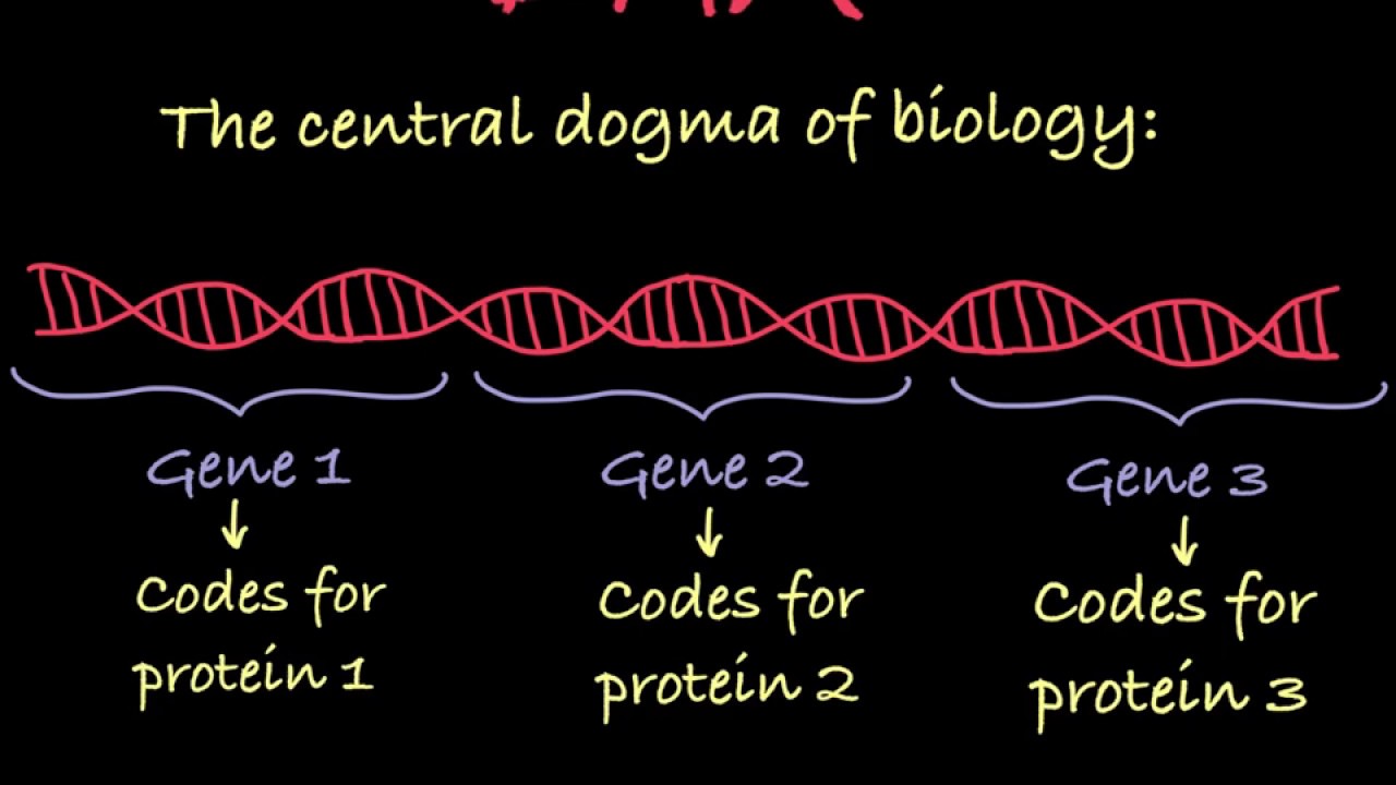 Introduction to Genetic Terminology | One Young India