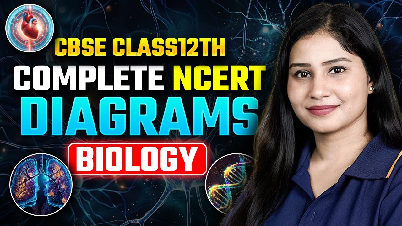 Complete NCERT Diagrams | Biology | CBSE 12th Boards 2025 | Tamsa Ma'am ...