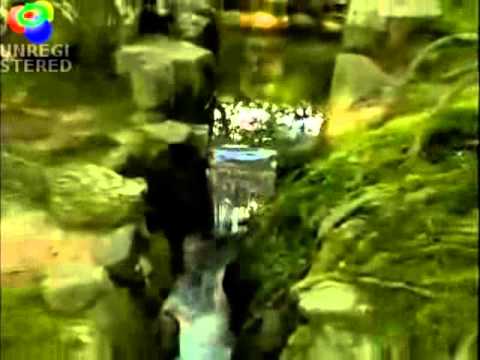 Be The Leaf - YouTube