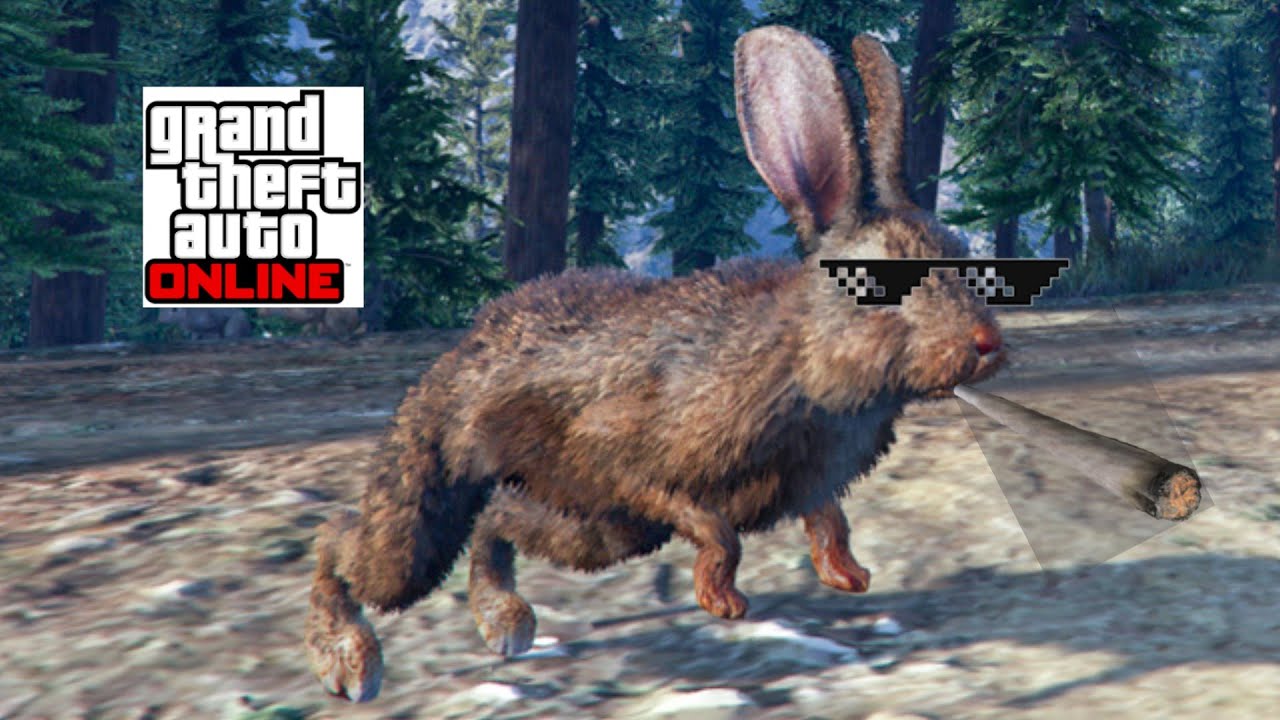GTA V - Rabbit modder is my friend | Multiple modder in my lobby ...