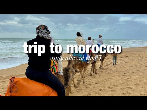 trip to MOROCCO, AFRICA!!! study abroad vlog 3 - YouTube