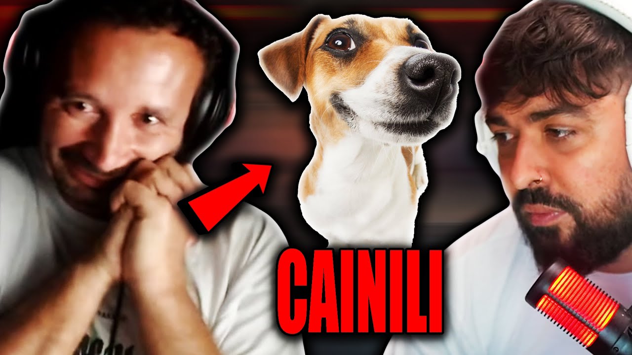 IMOGEN SI NICUSOR VAND CAINI - SUNA PE HIGHMAN, THEO ZECIU, ANDREAS ...