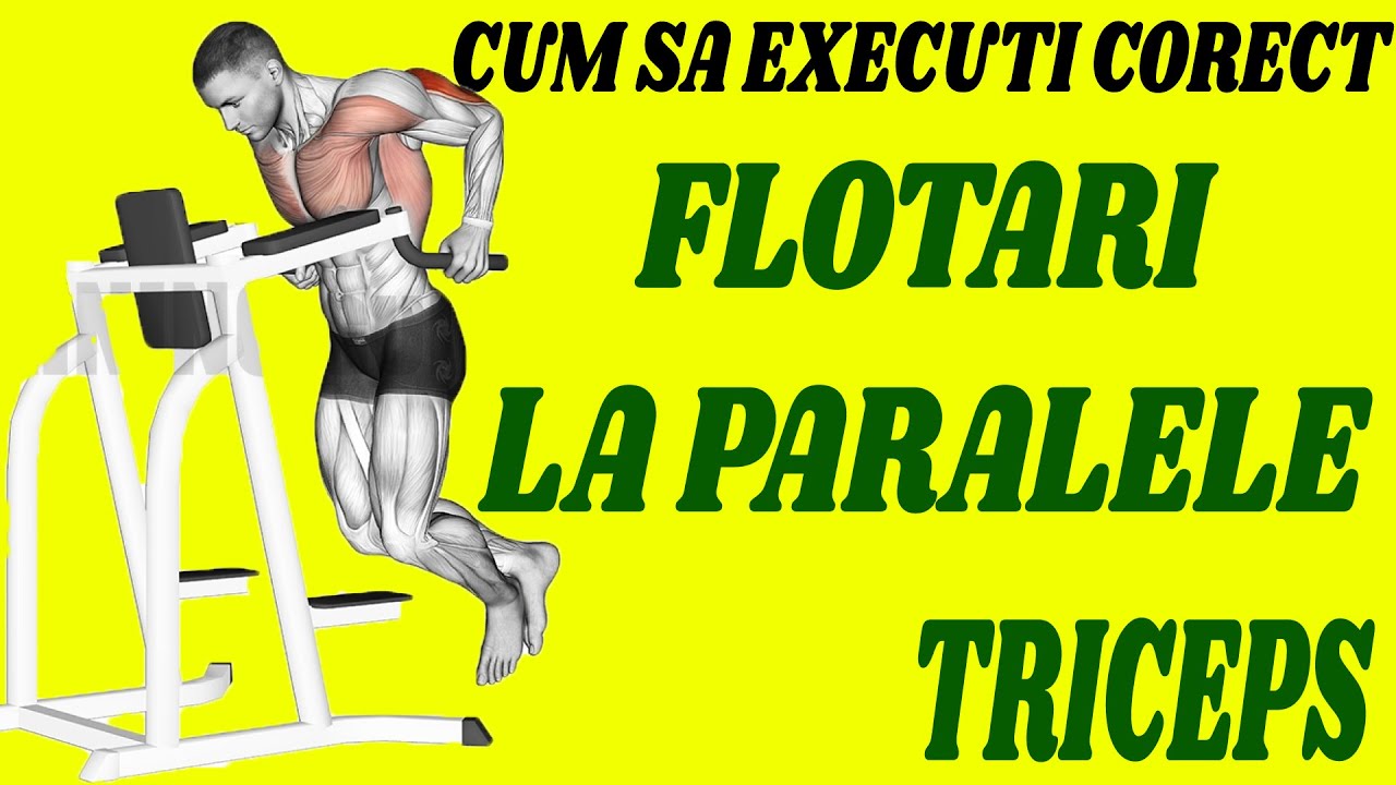 Flotari la paralele triceps - dips - Cum sa executi corect ! - YouTube
