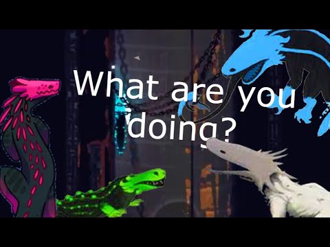 Dumb lizard - YouTube