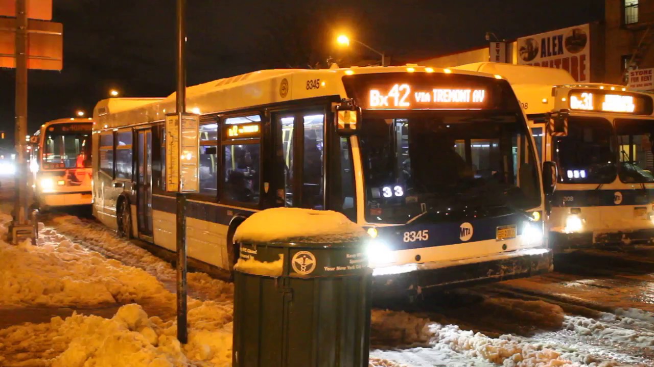 MTA New York City Bus Novabus LFS 8345 on the Bx42 and C40LF 308 on the ...