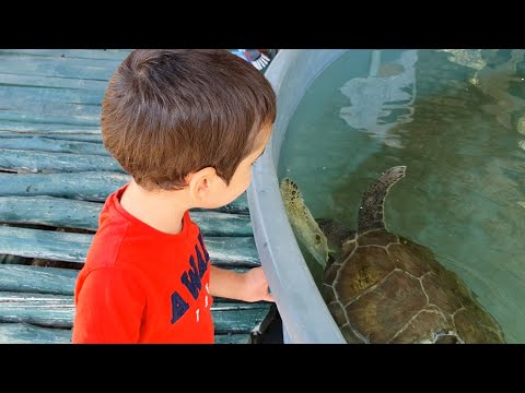 Berat ile Buğra Deniz Kaplumbağaları Müzesini Gezdi