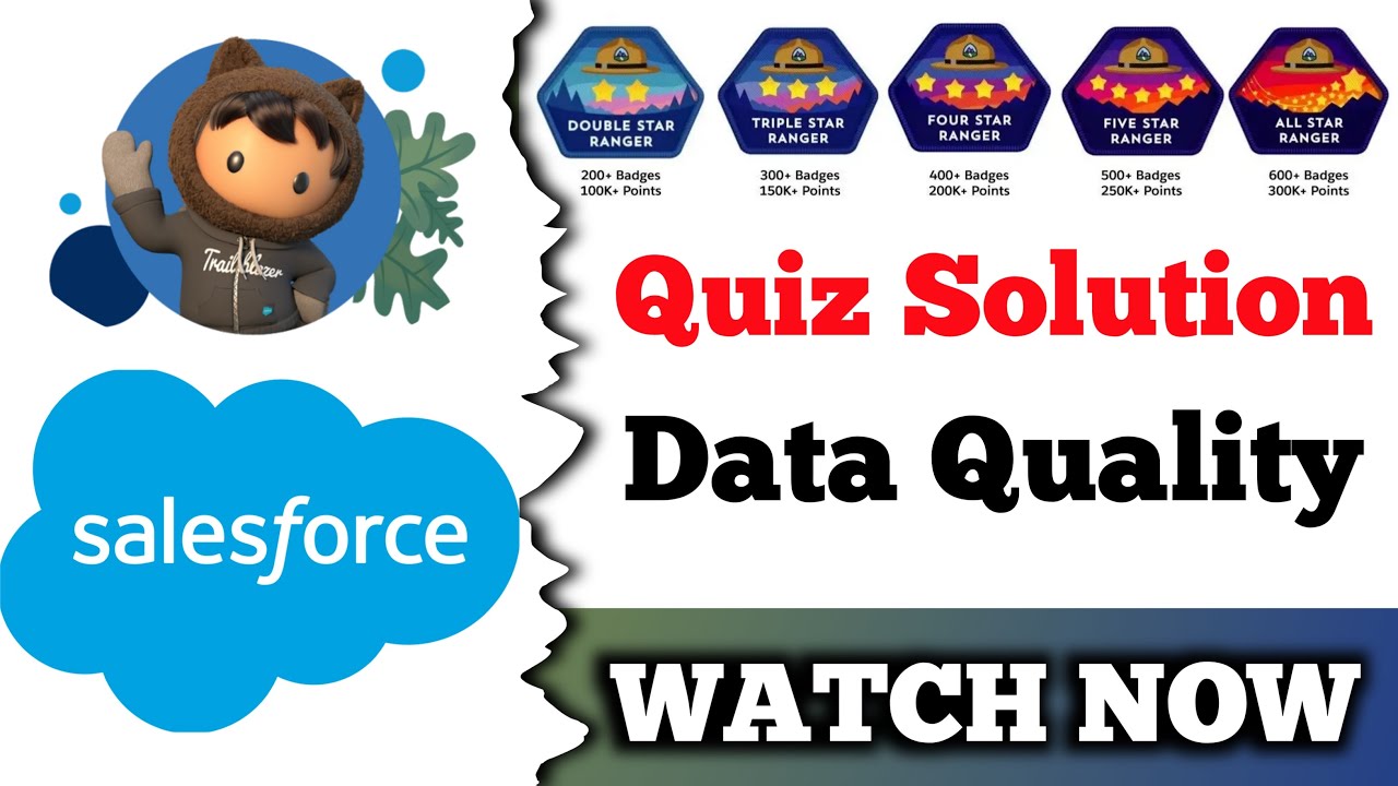 Data Quality | Salesforce Trailhead | Quiz Solution - YouTube