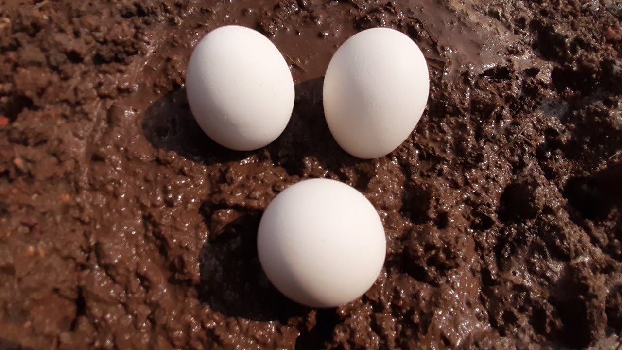 Survival Skills Primitive Unique Egg Boild in Soil, Meet At River ...