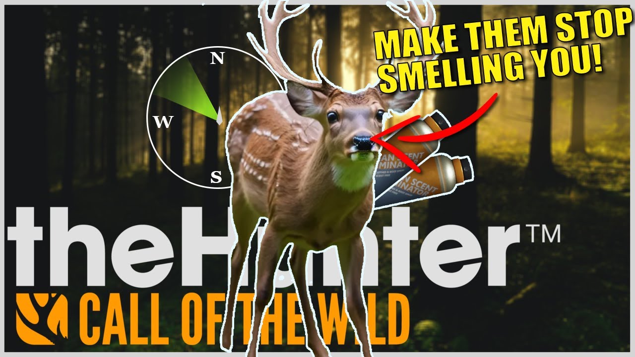 Wind Direction and how to hide your scent | The Hunter Call of the Wild ...