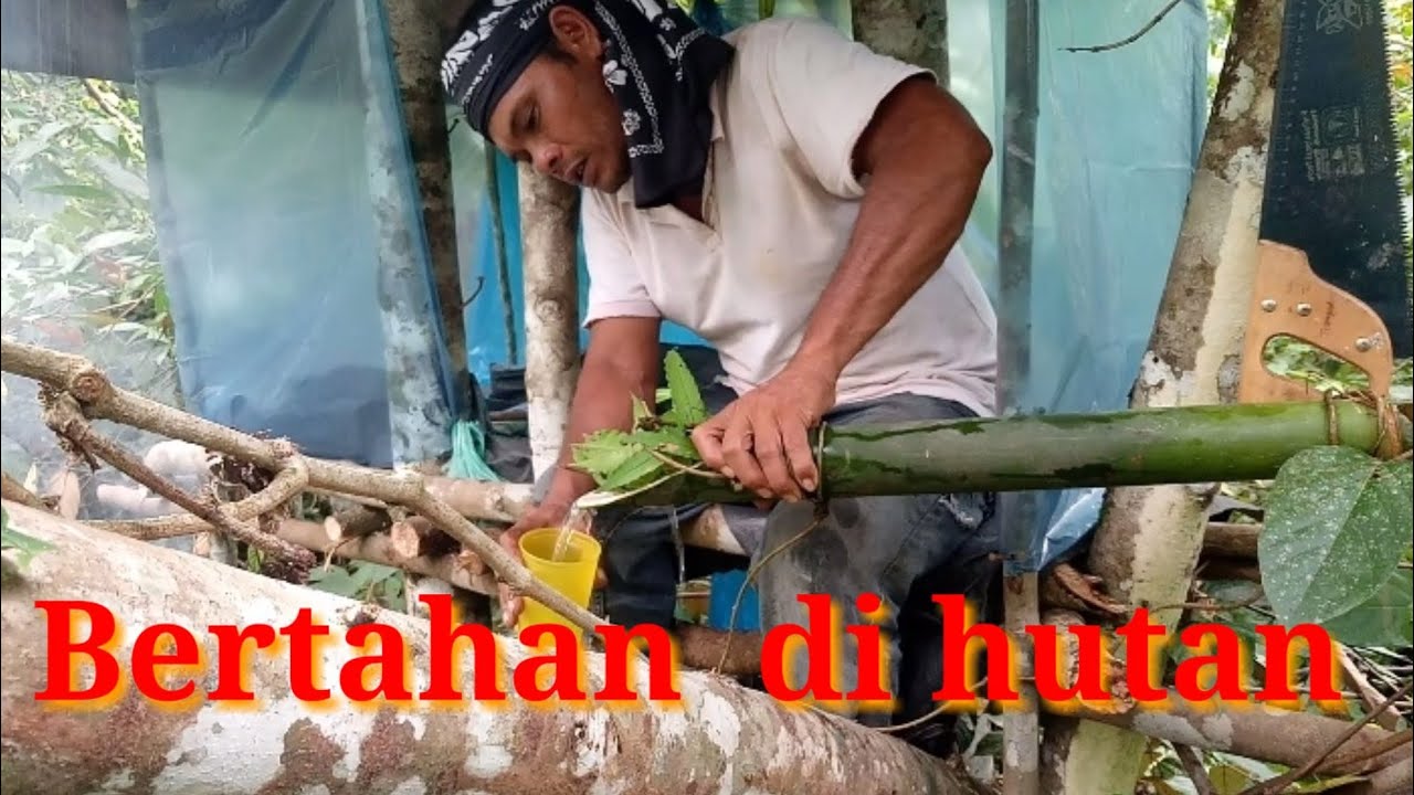 Bertahan hidup dihutan//manfaatkan hasil alam. - YouTube