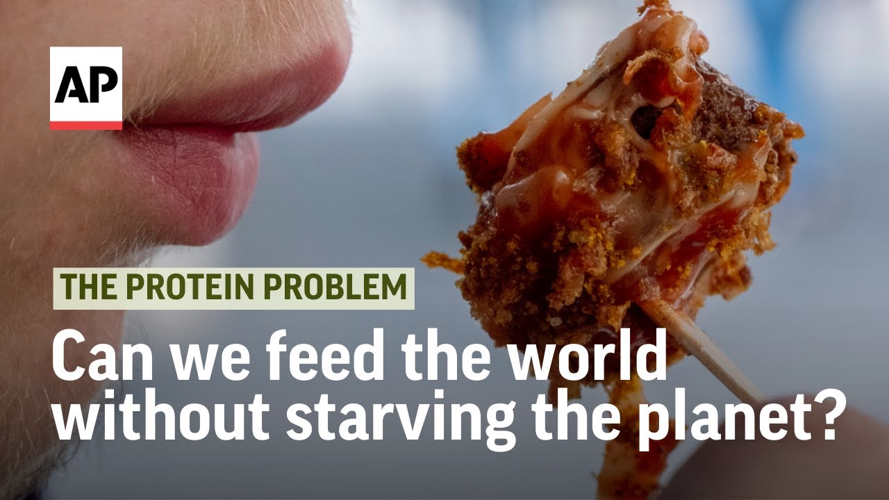 Can we feed the world without starving the planet? | The Protein ...