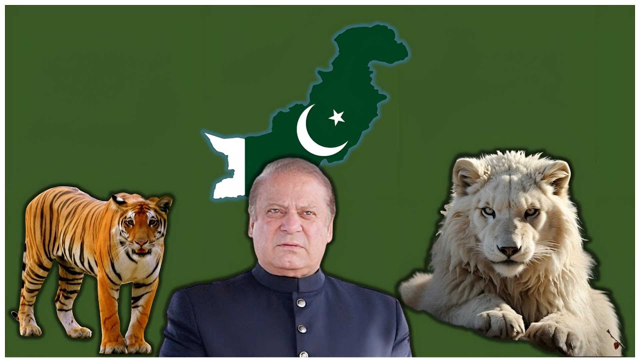 Nawaz Sharif supporters bring lion, tiger to Lahore rally - YouTube