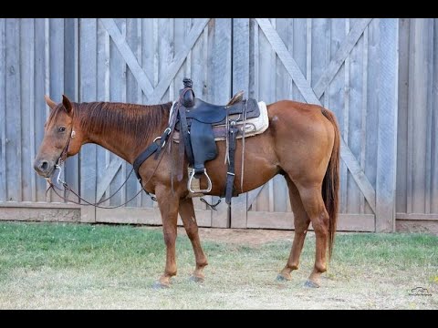 DANCES WITH ELVIS "Waylon" - YouTube