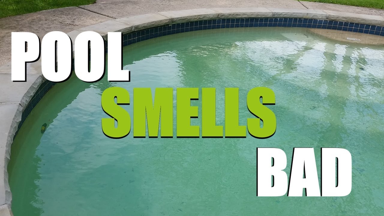 Why Do Pools Smell Funny? - YouTube