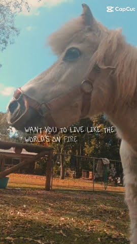 Sandy girl - YouTube