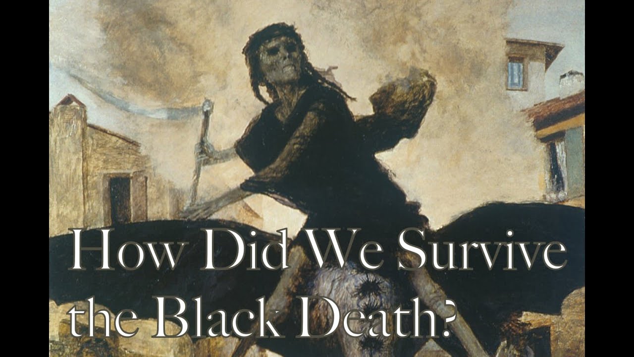 How Did We Survive the Bubonic Plague (Black Death)? - YouTube