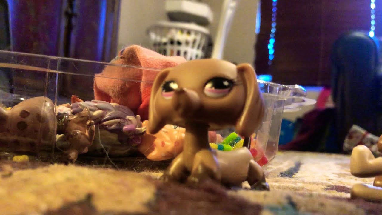 How to make a lps beanie! - YouTube