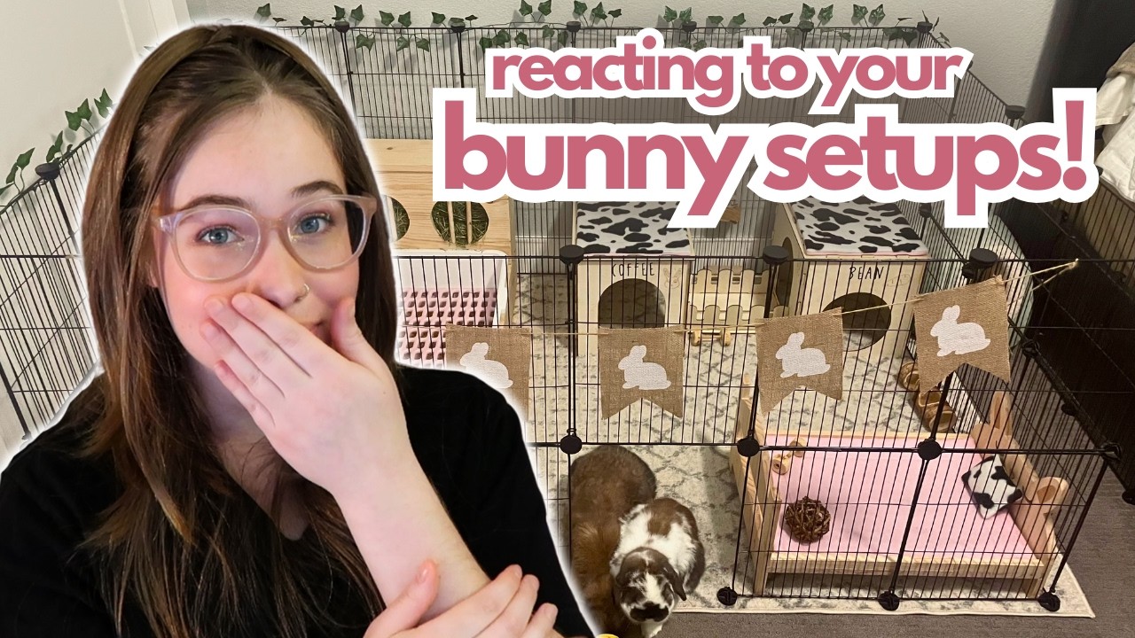 Reacting To My Subscribers BUNNY SETUPS! 🐰 - YouTube