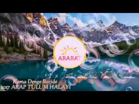 Koma Denge Bazide Arap Tulum 2017